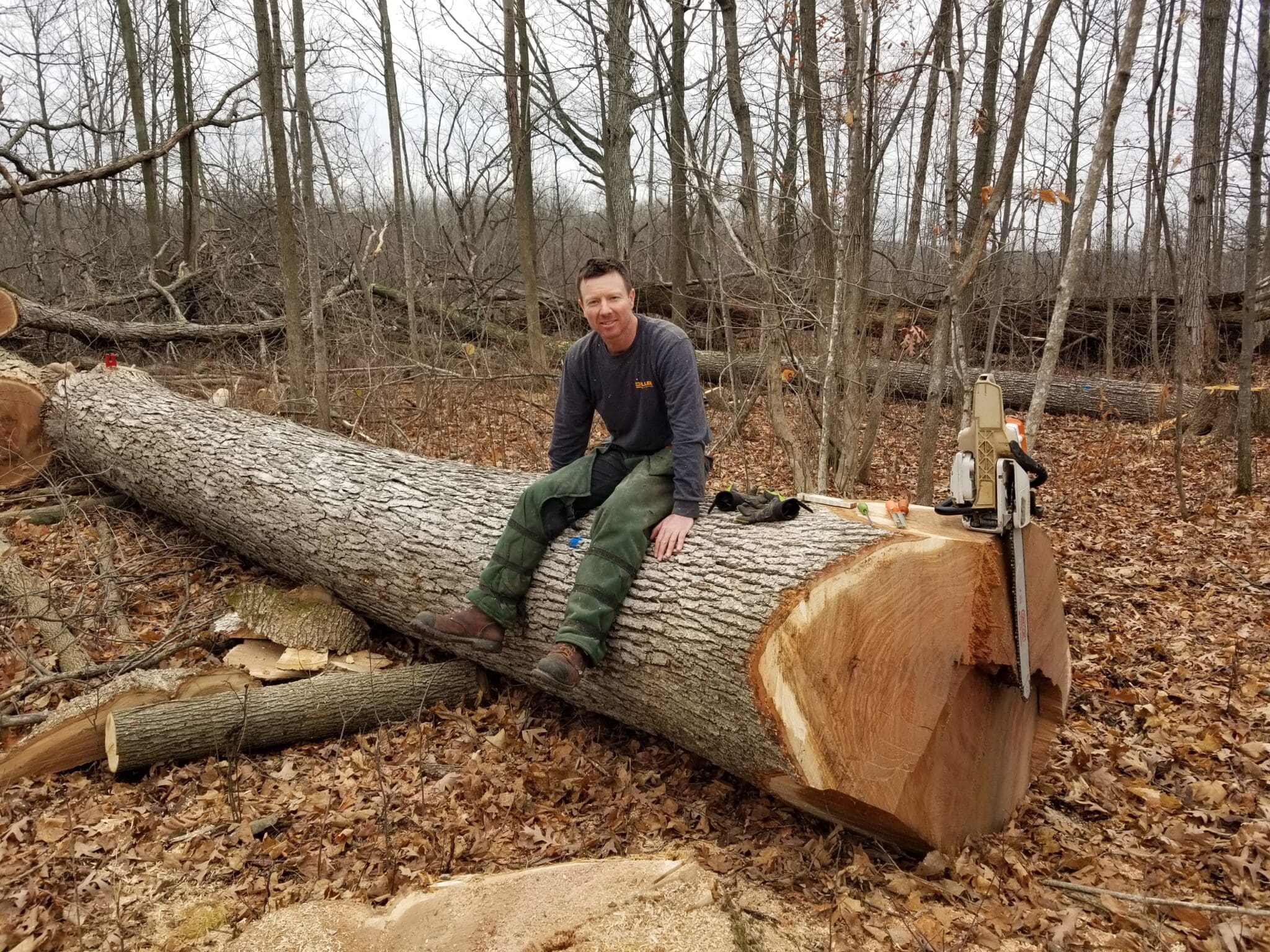 Licensed Logging & Tree Buying in WI & IL | RT Timber