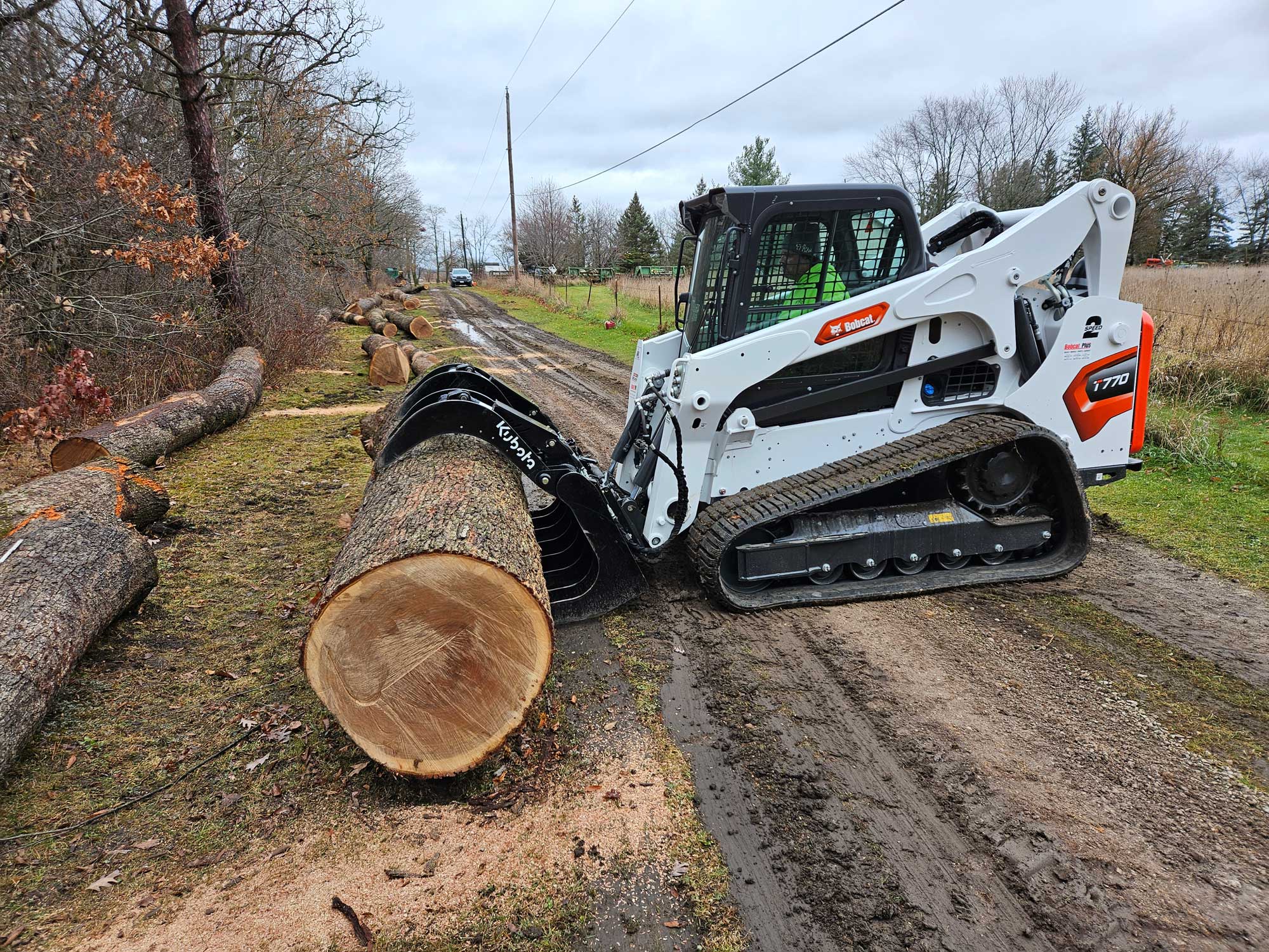 Licensed Logging & Tree Buying in WI & IL | RT Timber