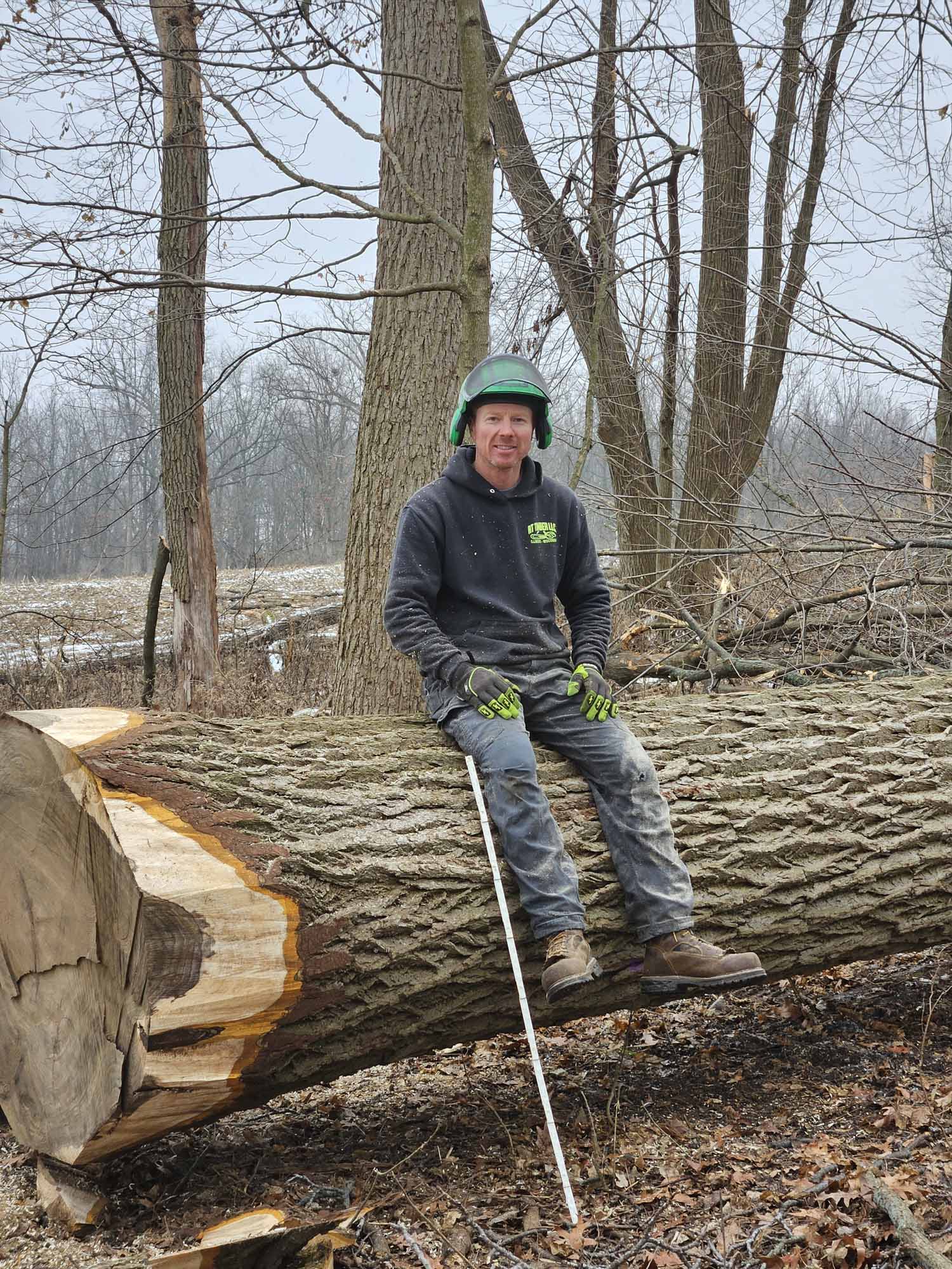 Licensed Logging & Tree Buying in WI & IL | RT Timber